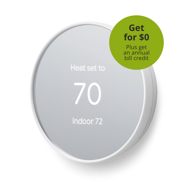 Nest Thermostat, Snow with Smart Savers – DTE Energy Marketplace | Energy Efficiency Store